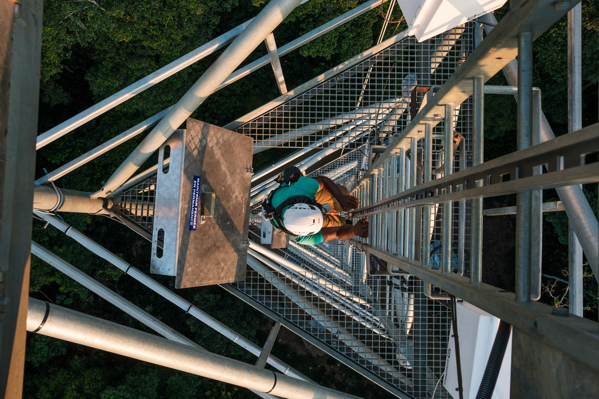 Laura Salm-Reifferscheidt